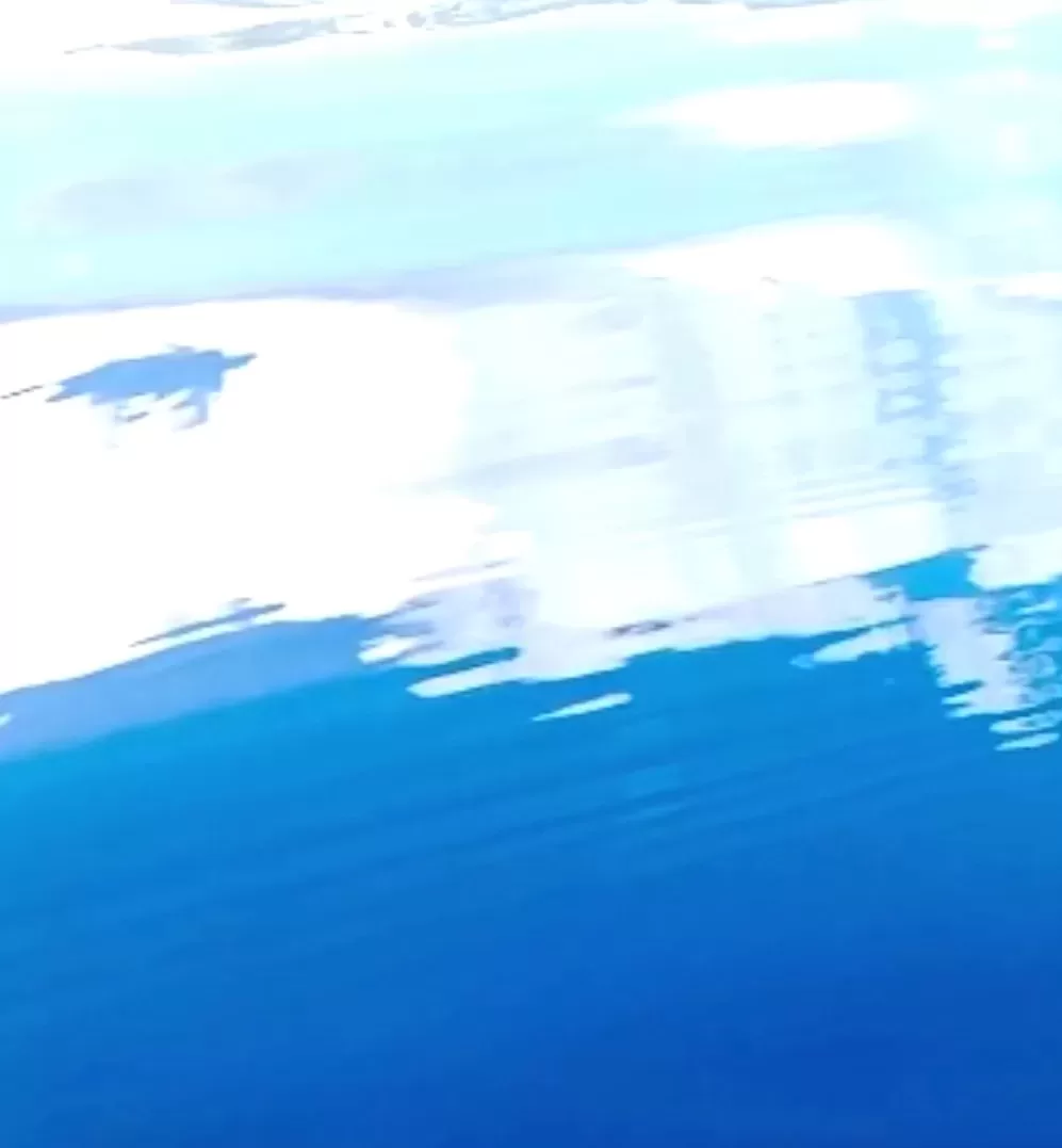 'Intangible' art video exhibited during the 'Meet Prespa' event in the ...